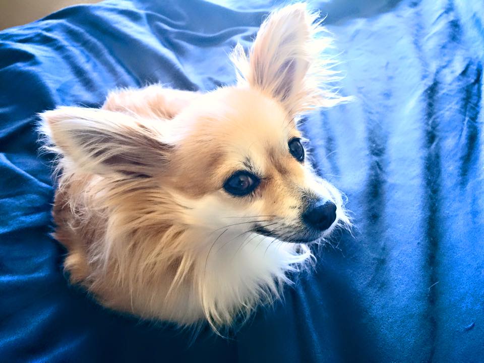 Pictures – The Aderholds